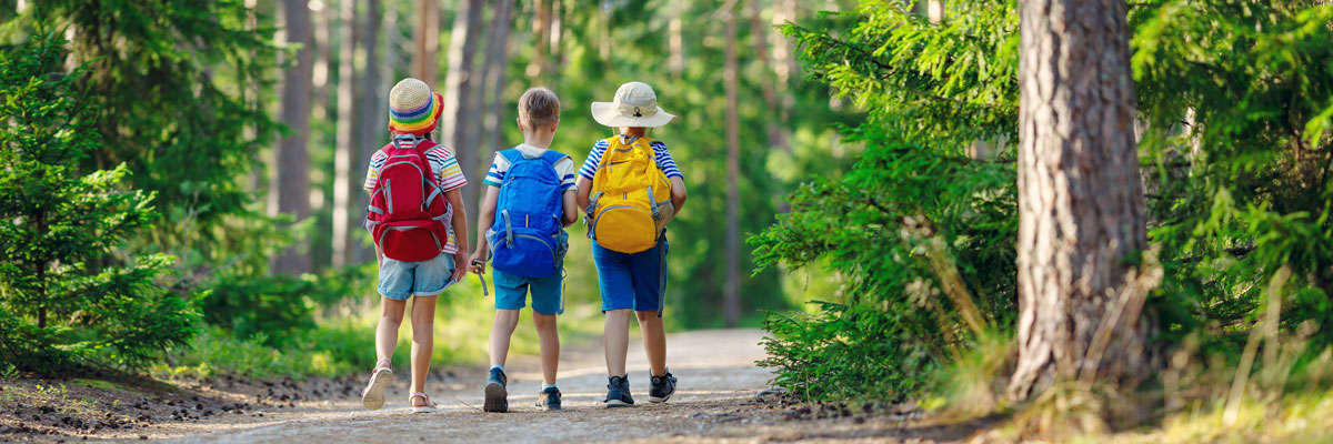 Your Guide to Summer Fun: Top Things to Do in McAllen at Community ...